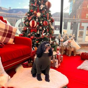 The Lock Kitchen, Bar & Terrace Leeds